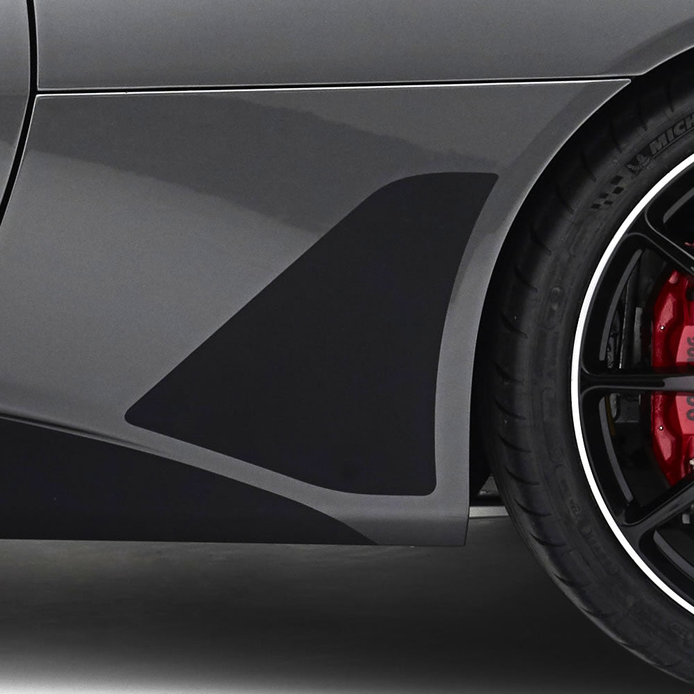 Lotus Evora shark fin stone chip protector set – Divine Handcraft