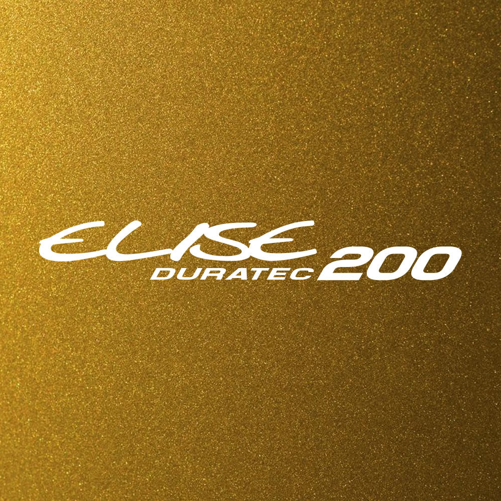 Make your own custom ELISE/EXIGE decal – Divine Handcraft